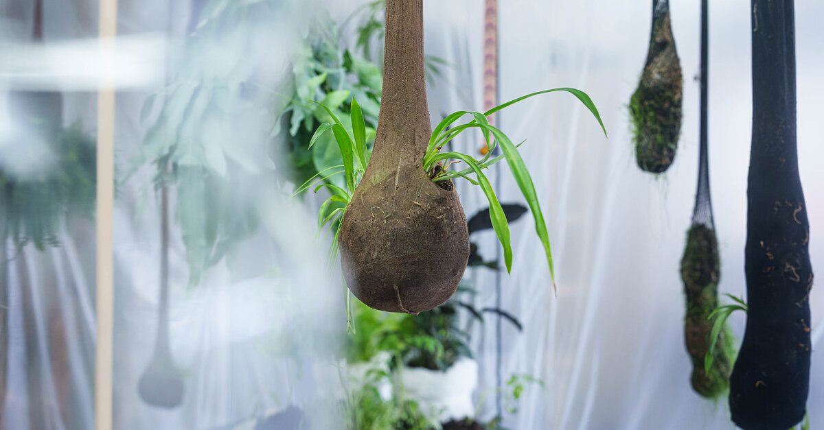 new supplementary certificate in art and sustainability - Universität ...