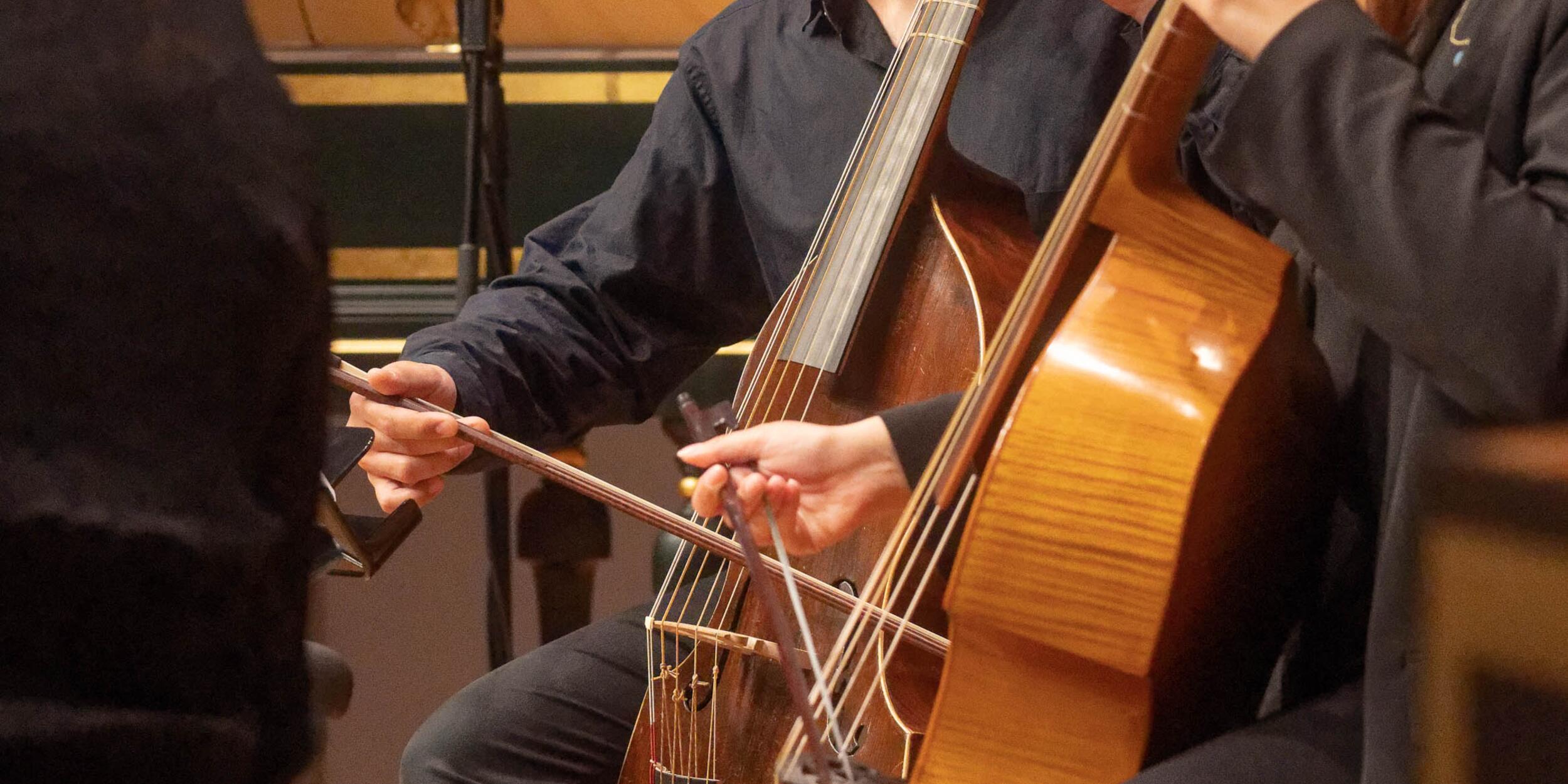 MA in Viola da Gamba - Universität Mozarteum